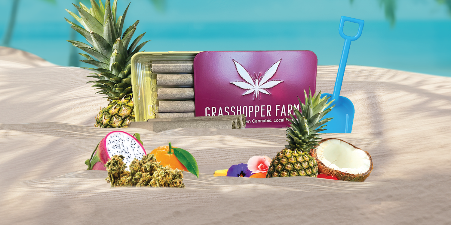 Infused Pre-Rolls ┃ Grasshopper Farms