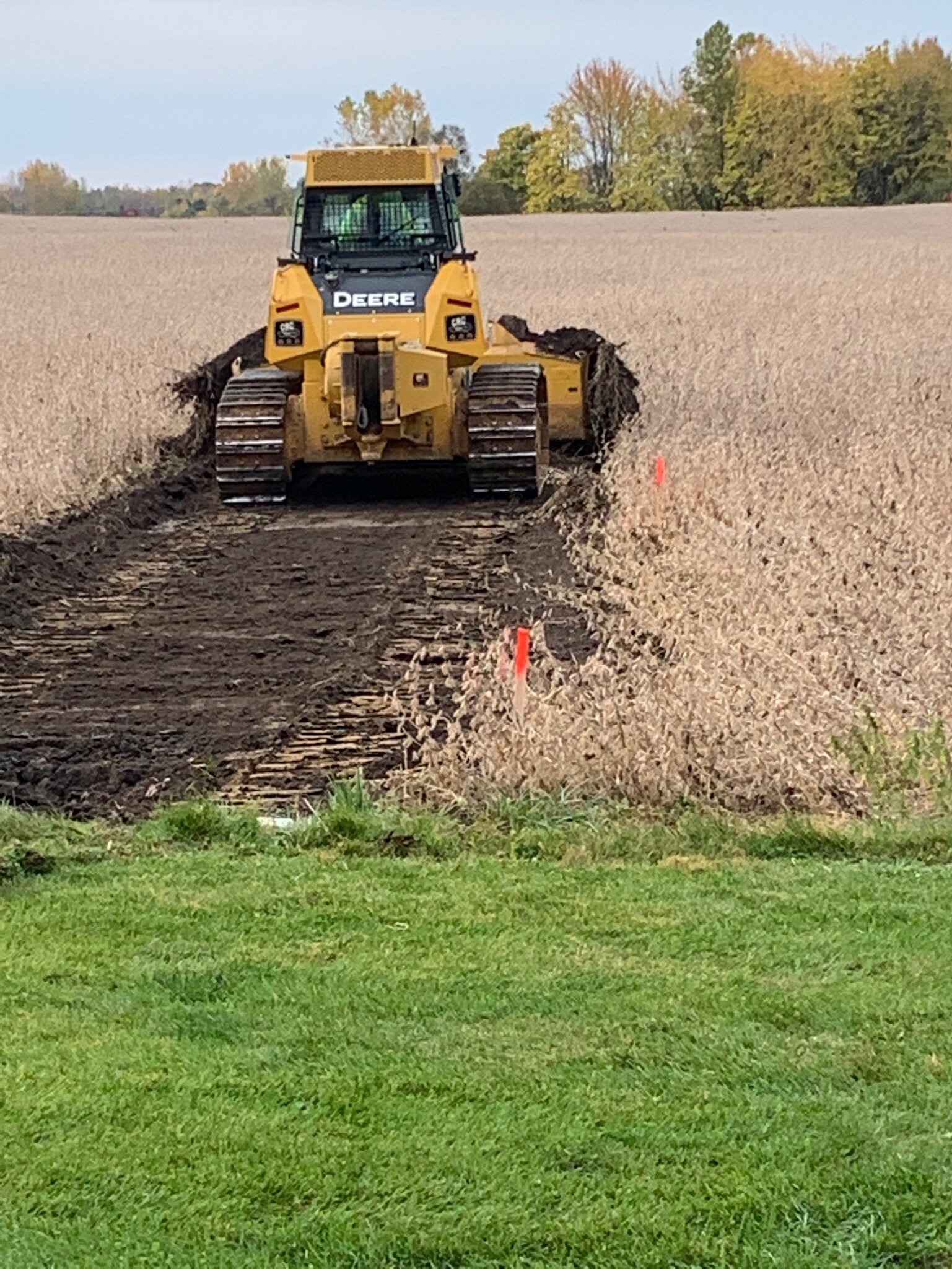 Michigan Marijuana Farm | Grasshopper Farms