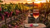 A Comprehensive Guide to Rosé Wine: What It Is and How to Enjoy Pink ...