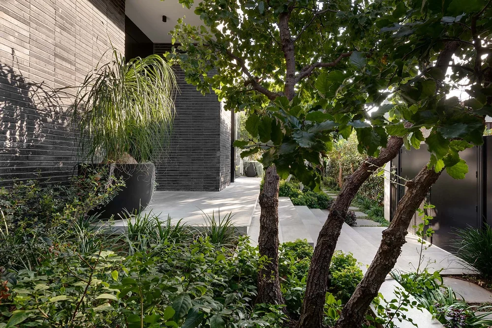 ZK — sharon weiser