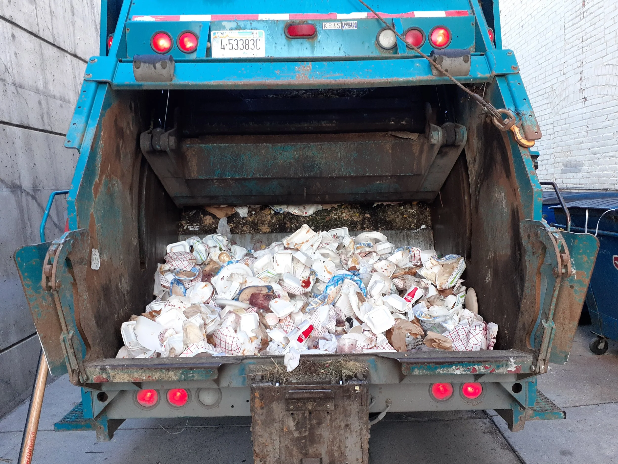 Choosing Sustainability: The Environmental Benefits of Commercially ...