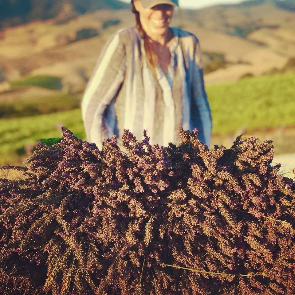 June Bloom Lavender | Self-Care