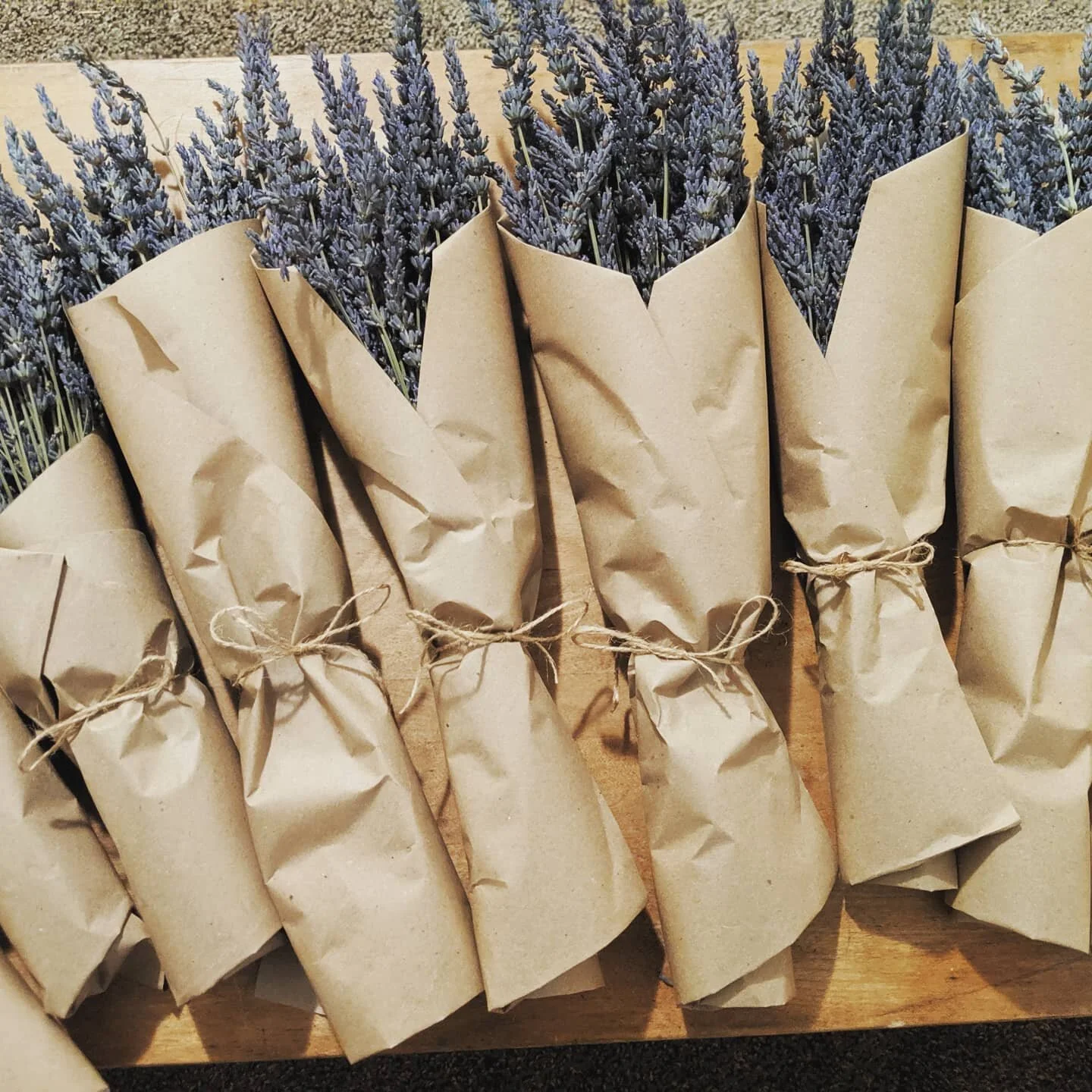 June Bloom Lavender | Self-Care