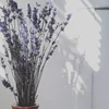 June Bloom Lavender | Self-Care