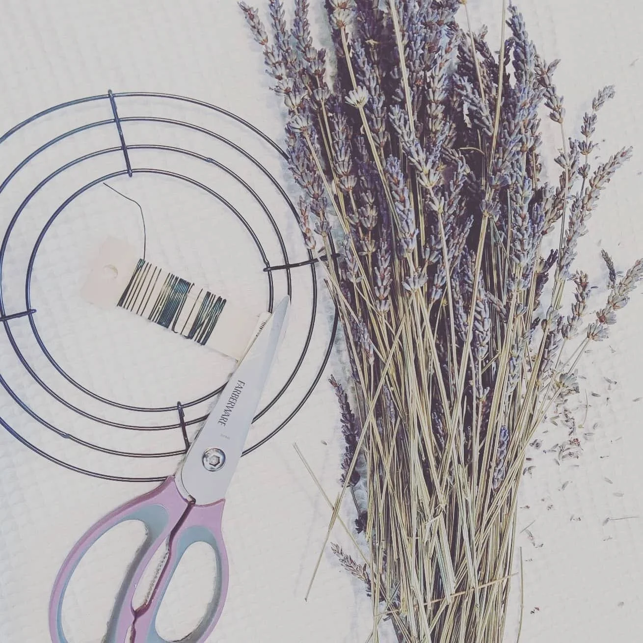 June Bloom Lavender | Self-Care