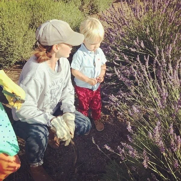 About — June Bloom Lavender