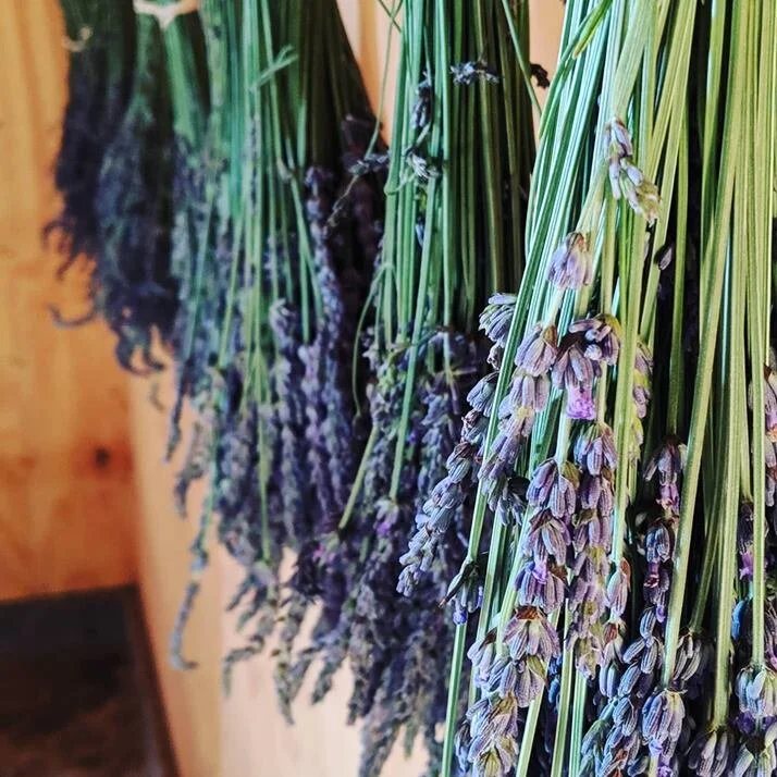 About — June Bloom Lavender