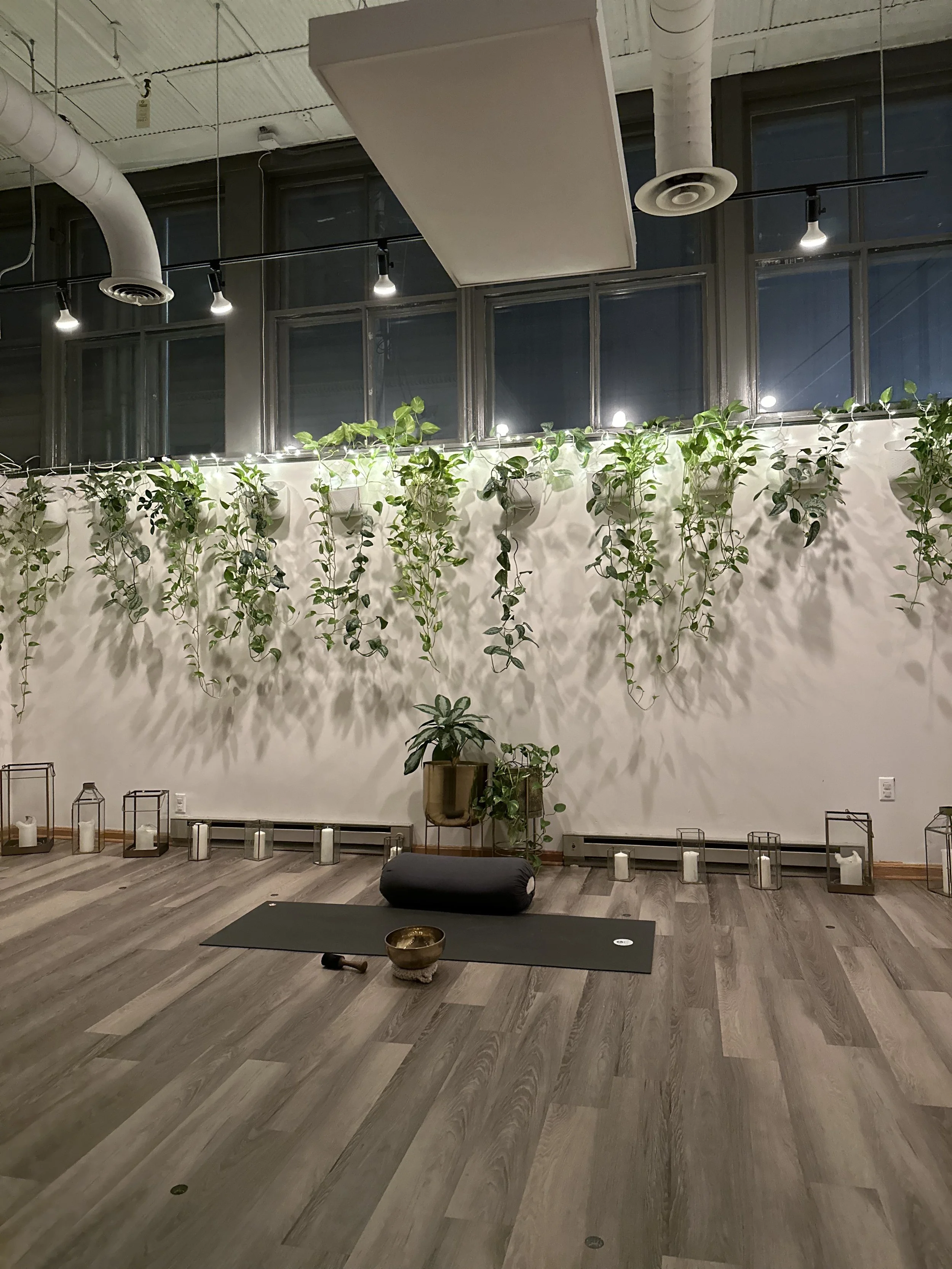 Workshops & Series — Bloomington Yoga Collective