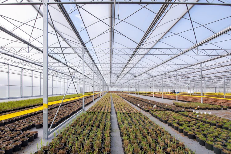 Rovero: The smart way to grow - Foil Greenhouses and Tunnels
