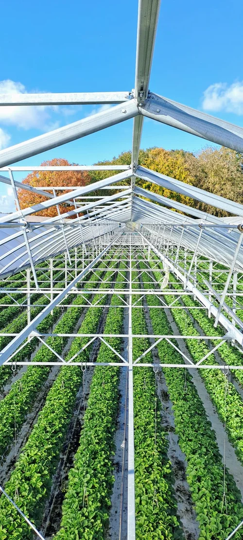 Rovero: The smart way to grow - Foil Greenhouses and Tunnels