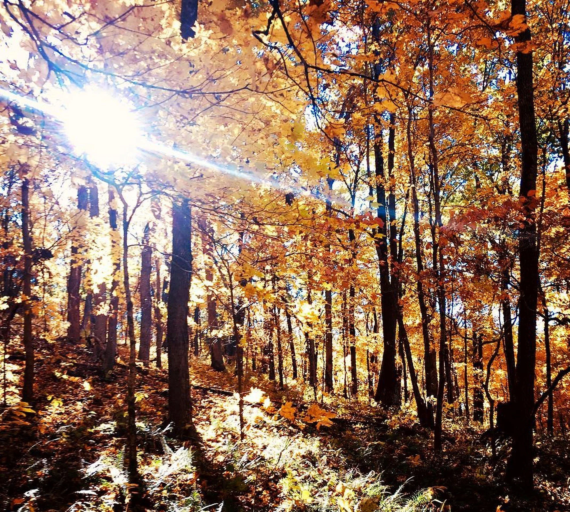 Patrick Ritter — core planning