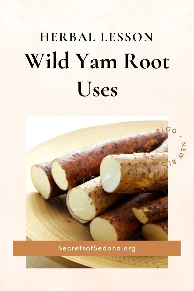 Wild Yam Root Uses for Health and Healing — Holistic Medicine & Herbs