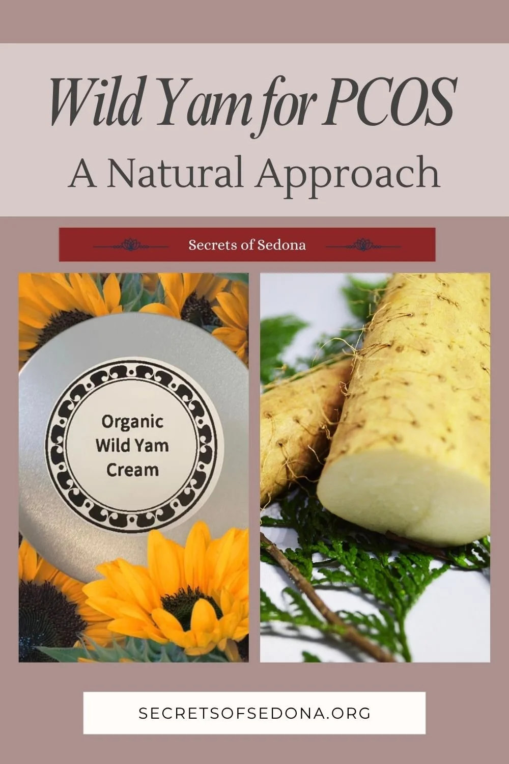 Wild Yam Cream Benefits, Side Effects, Guide to Use — Wild Roots & Reiki