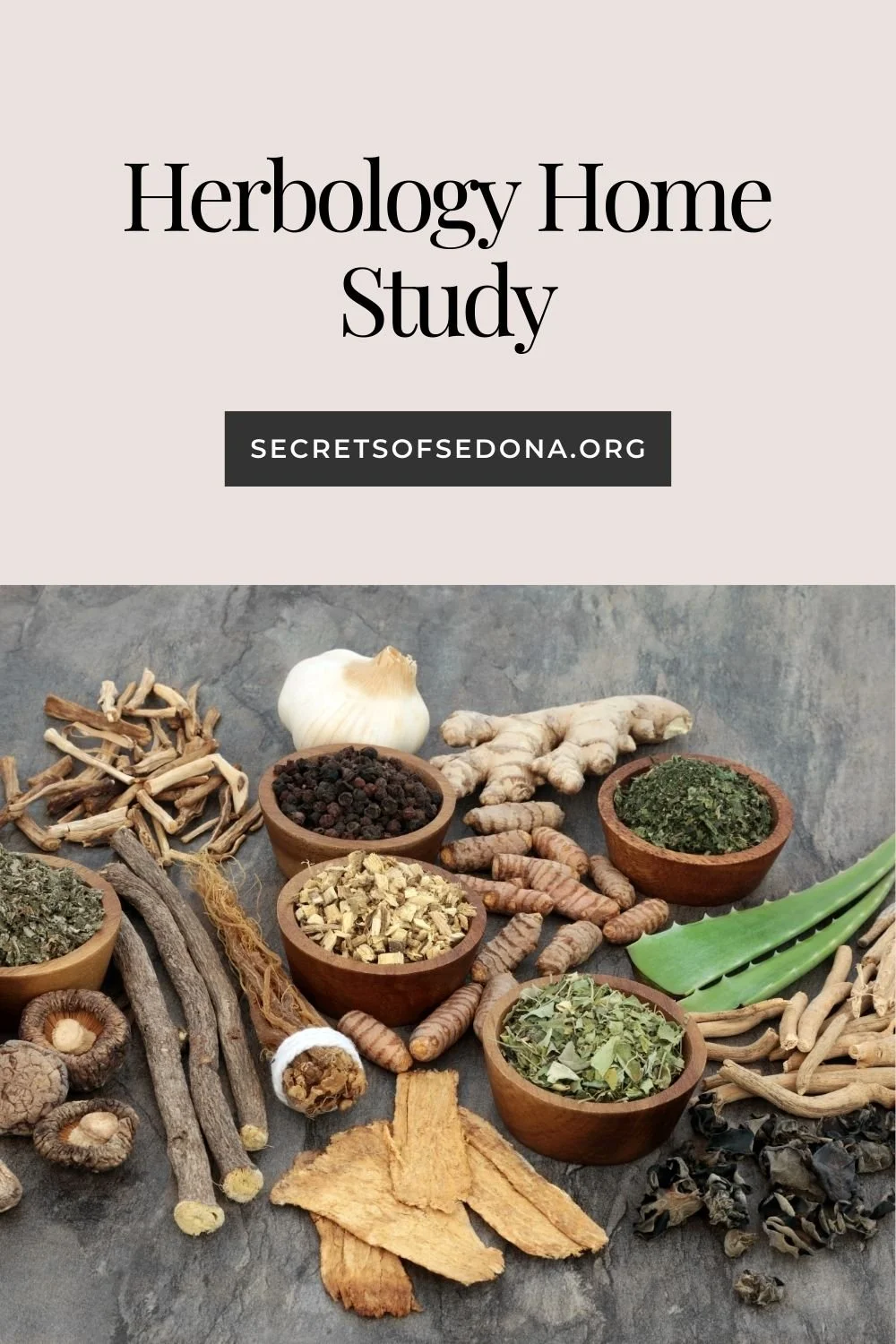 Herbology for Home Study — Wild Roots & Reiki