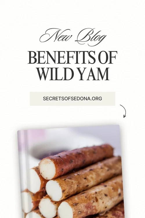 Benefits of Wild Yam — Wild Roots & Reiki