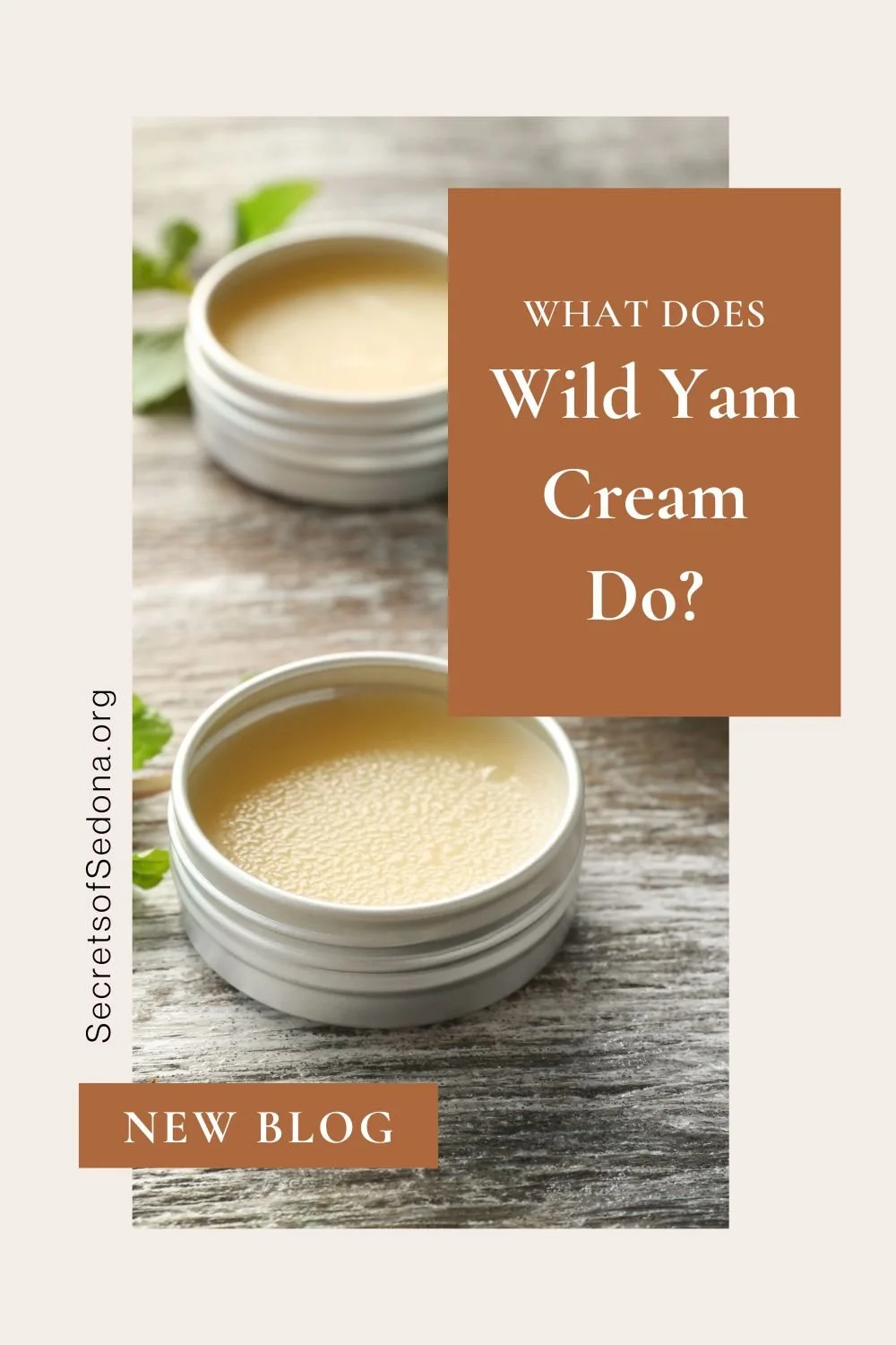 Wild Yam Cream Info — Holistic Medicine, Reiki, & Herbs