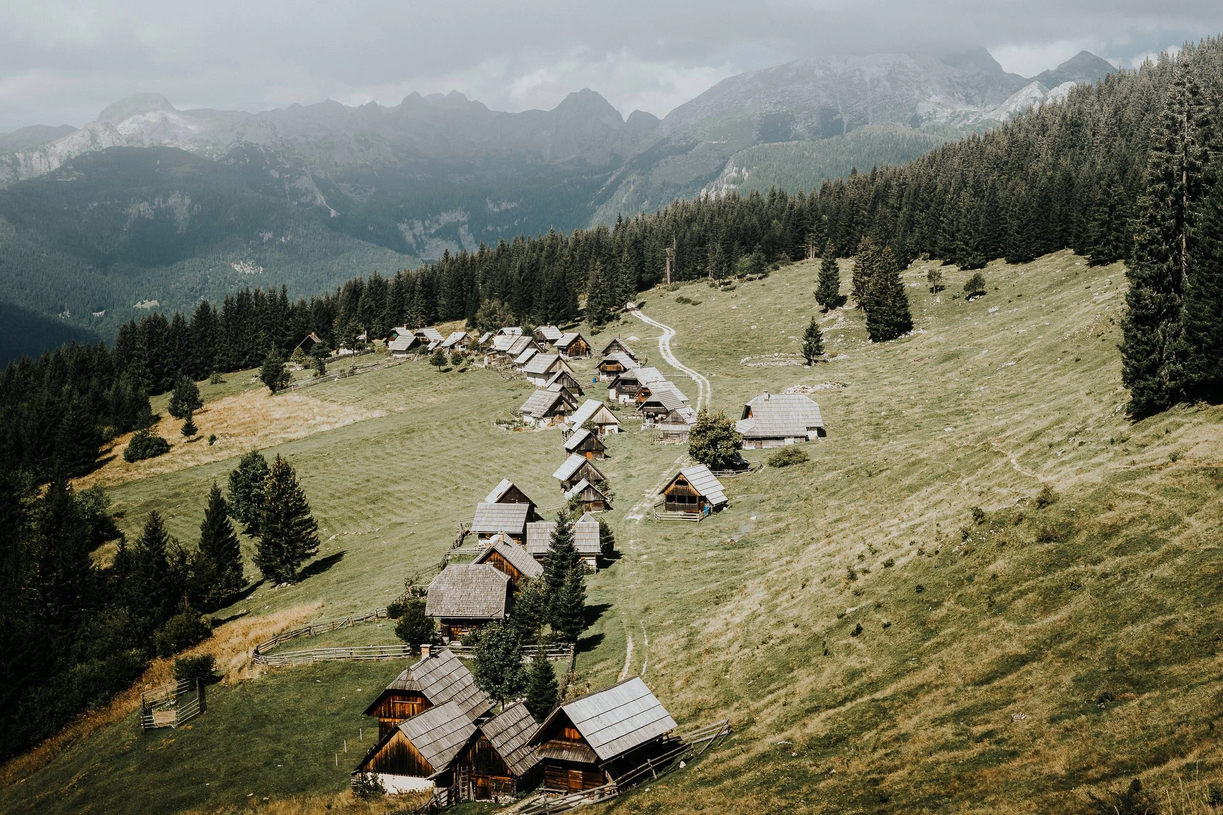 PLANINA ZAJAMNIKI - Slovenia | A Must Vist in Summer | DANSCAPE.CO ...