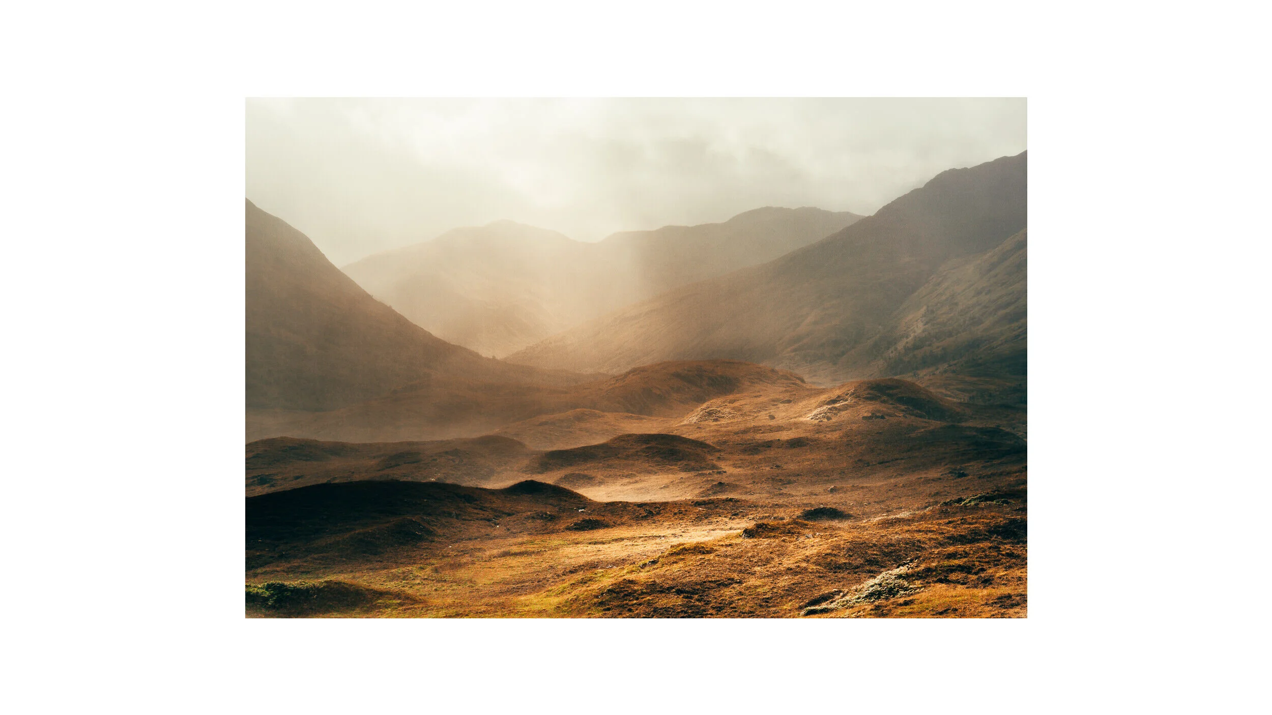 DANSCAPE.CO | Landscape & Nature Photography by Dan Cook