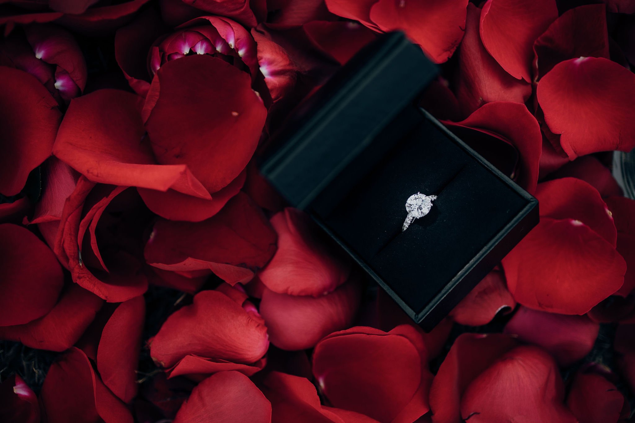 Just got engaged? 10 things to do once you get engaged — KESH EVENTS