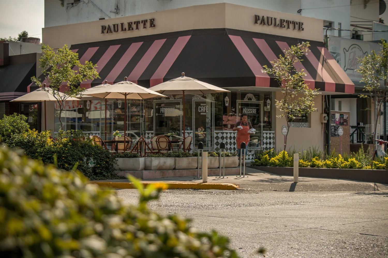 Paulette Patisserie — Estudio 3.14 - Arquitectura y Planeación Maestra