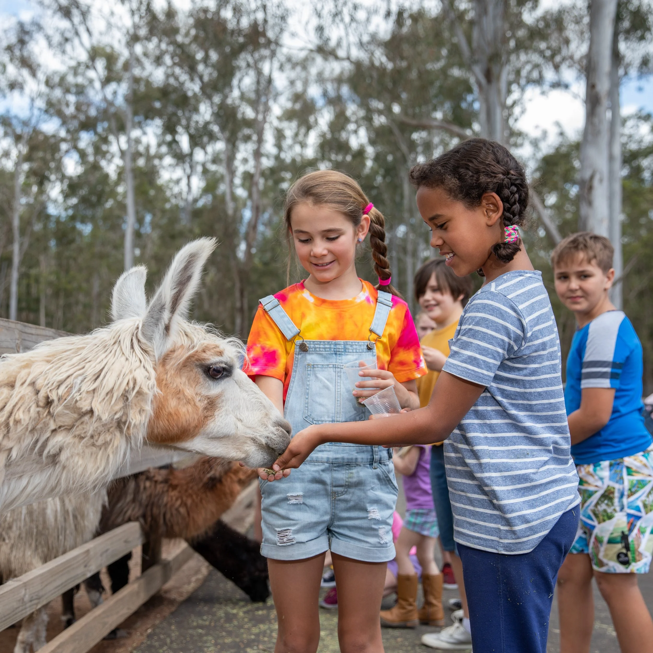 White Ridge Farm Audio Guides and Accessibility Information — Vacayit