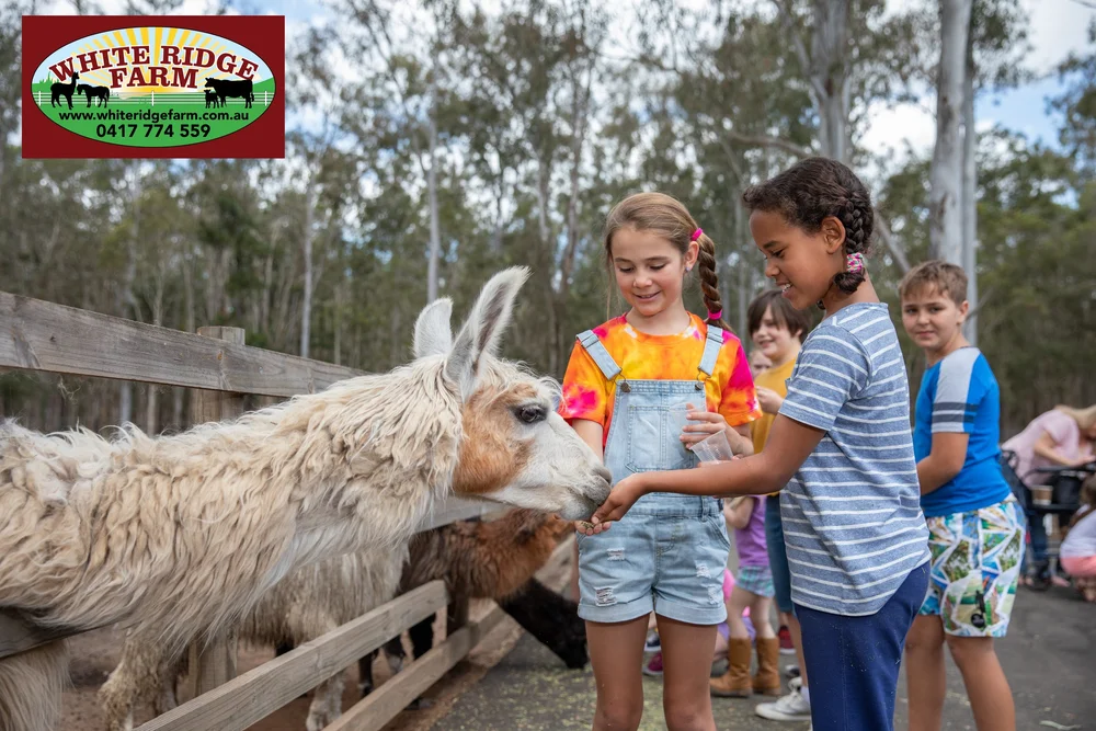 White Ridge Farm — Vacayit