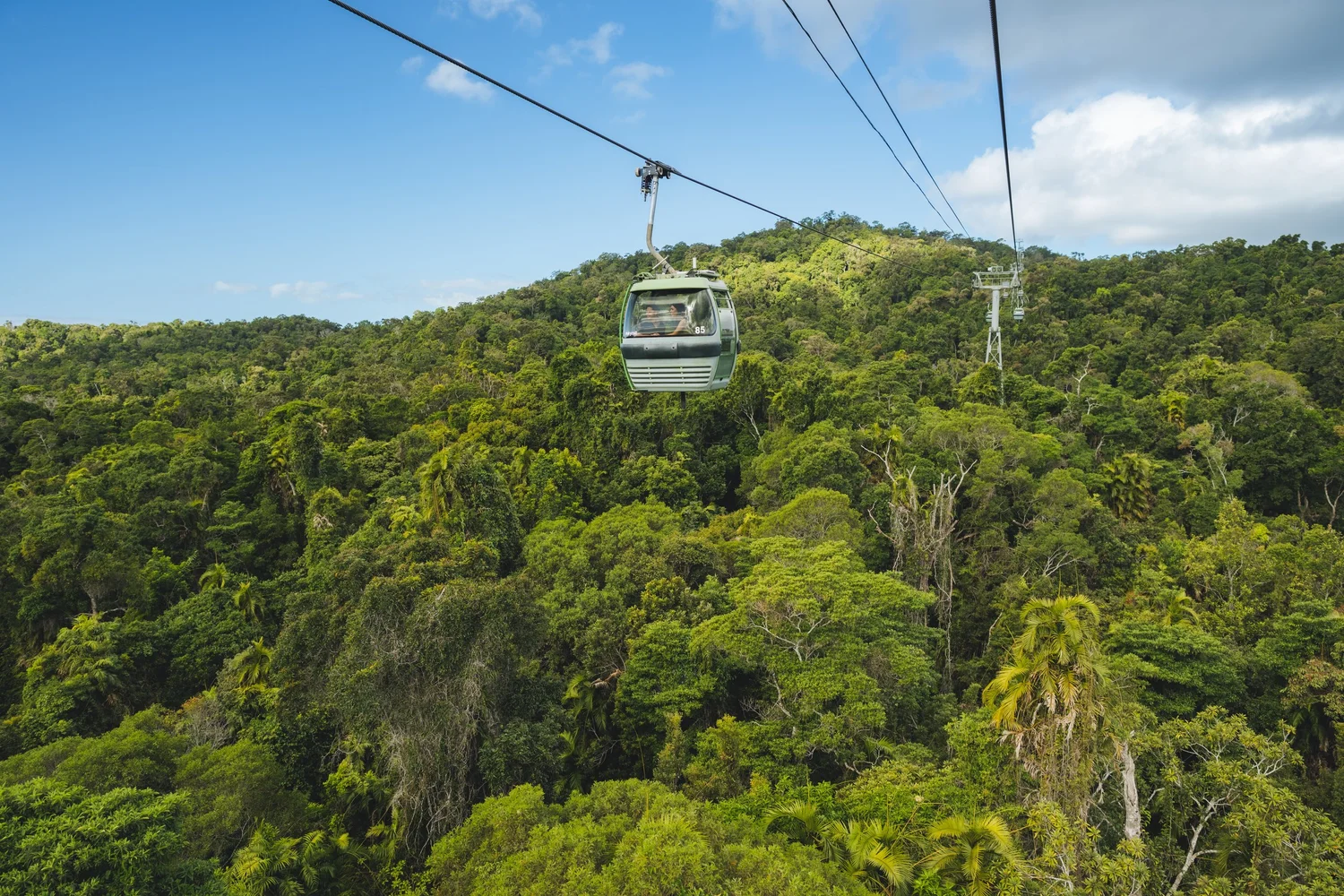 Skyrail Rainforest Cableway Audio Guides and Accessibility Information ...