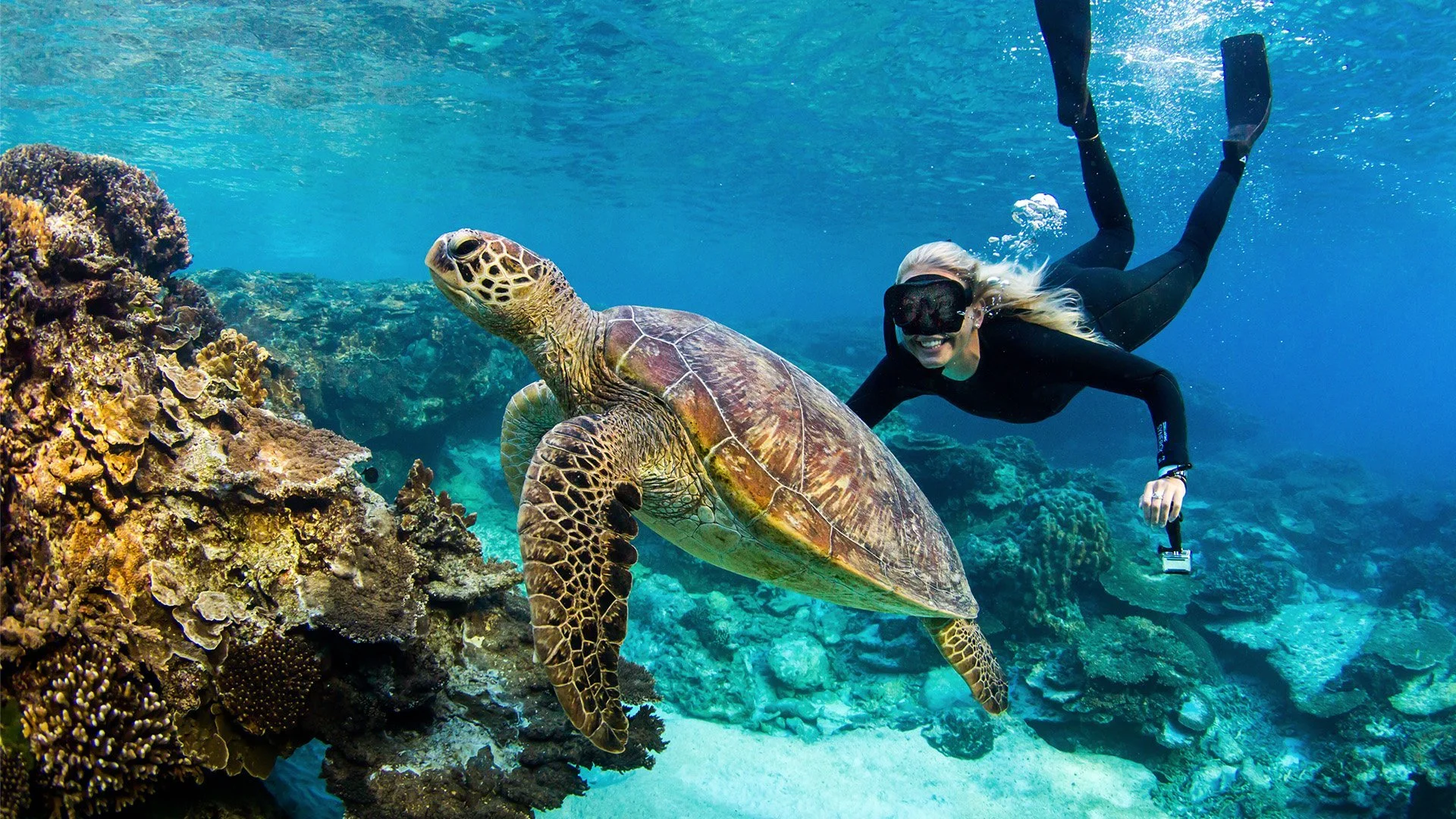 Southern Great Barrier Reef Audio Guides and Accessibility Information ...