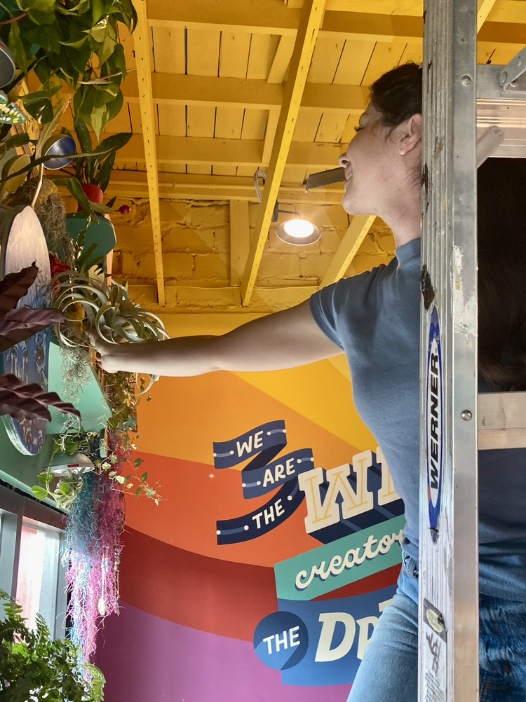 Meet The Artists — El Weirdo