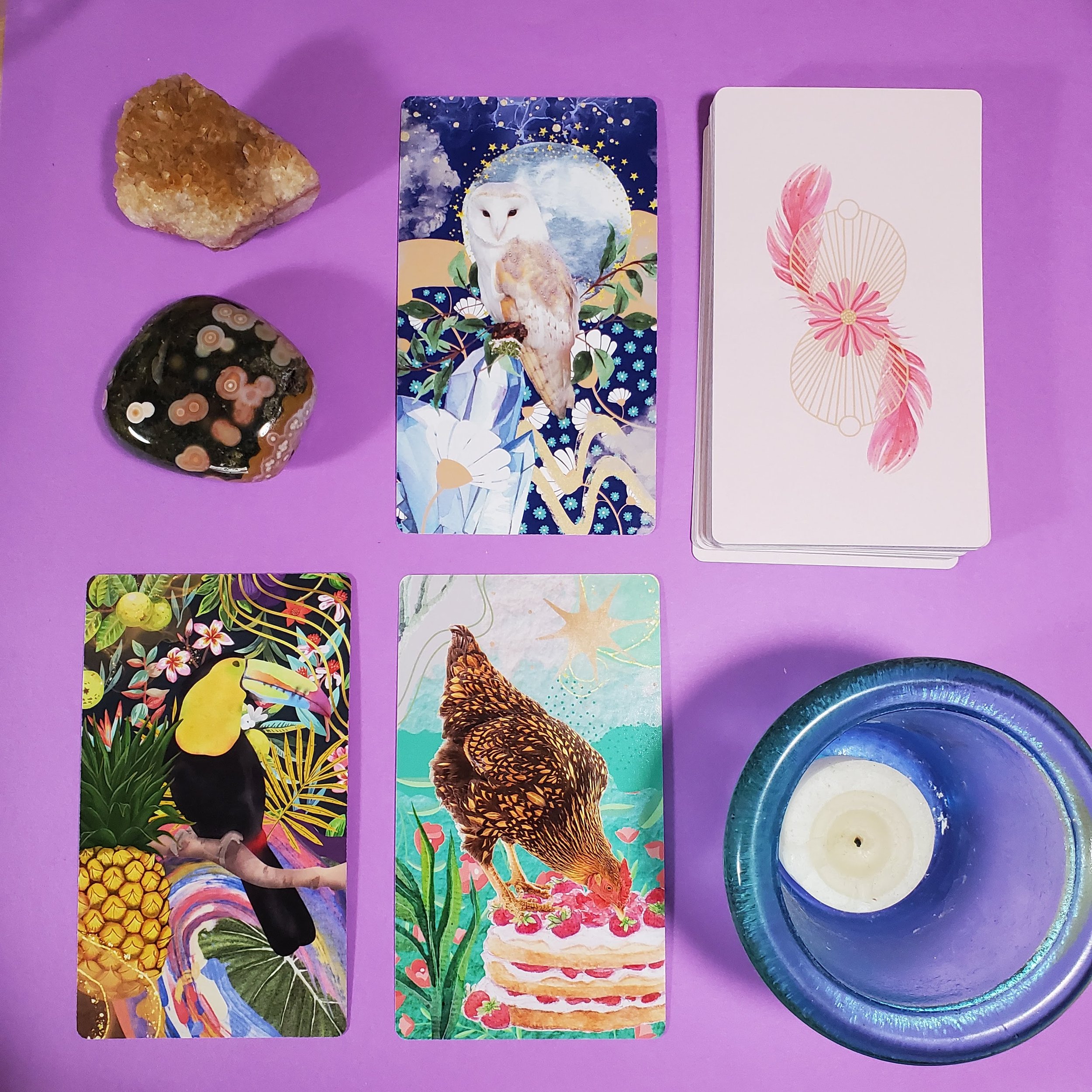 Birds of a Feather Oracle — sara grace stasi