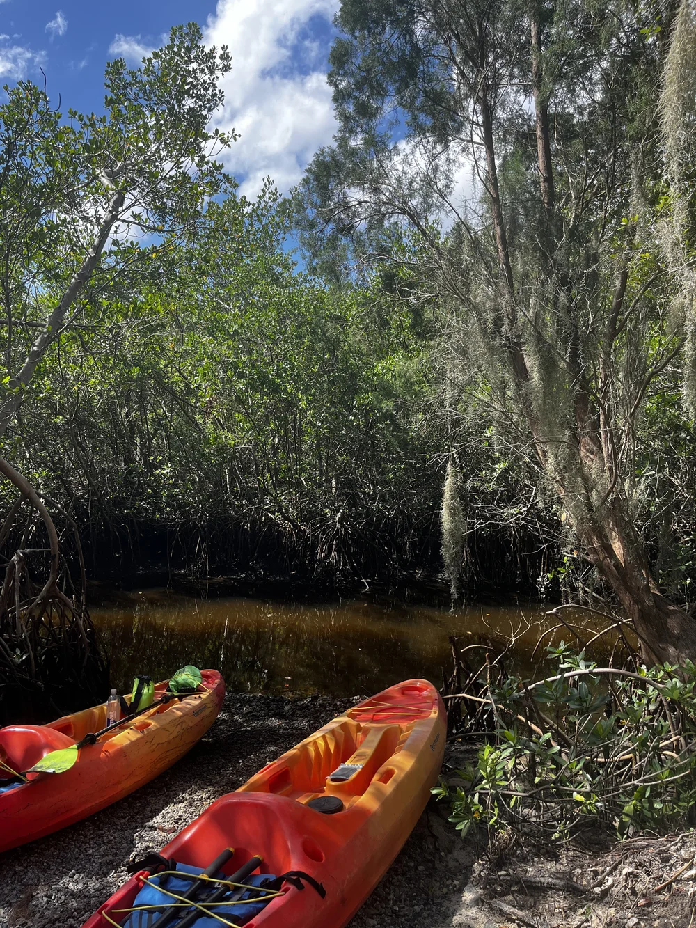Canoe Outpost - Little Manatee River