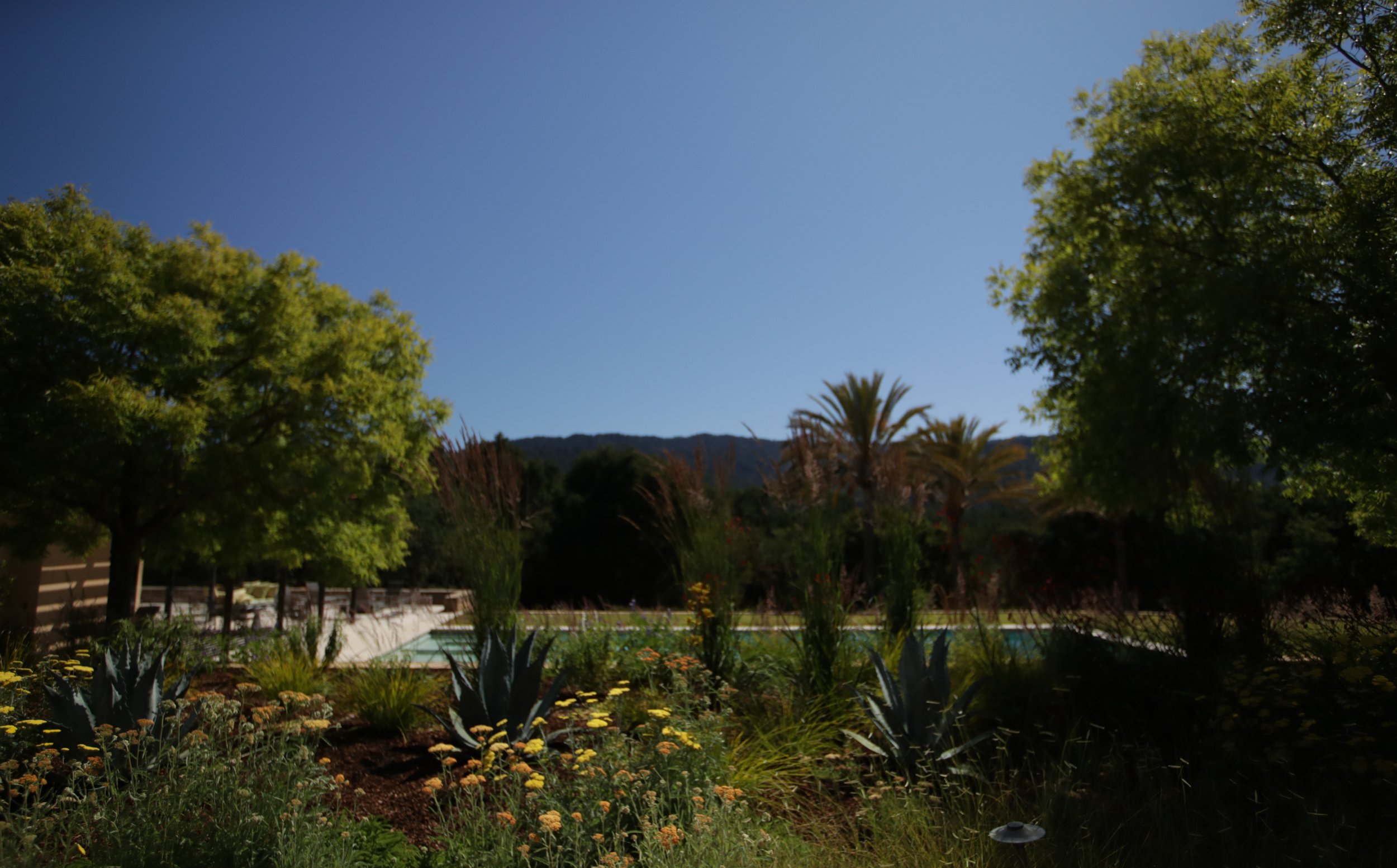 Portfolio Teal Studio