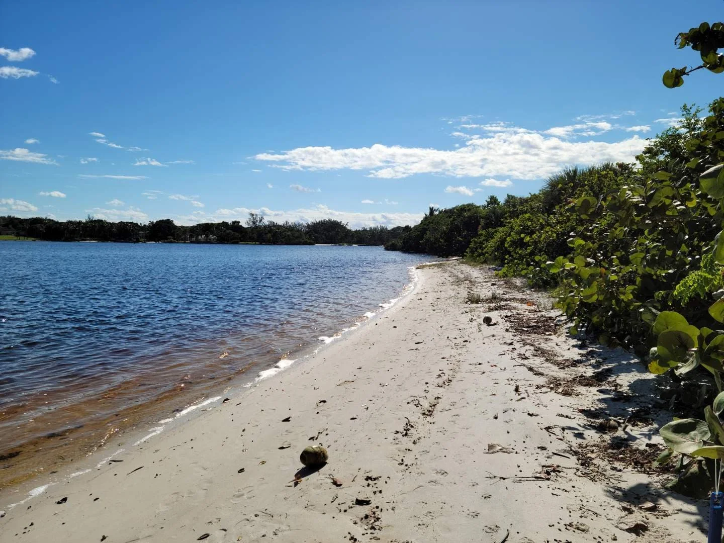 Contact — Hobe Sound Nature Center