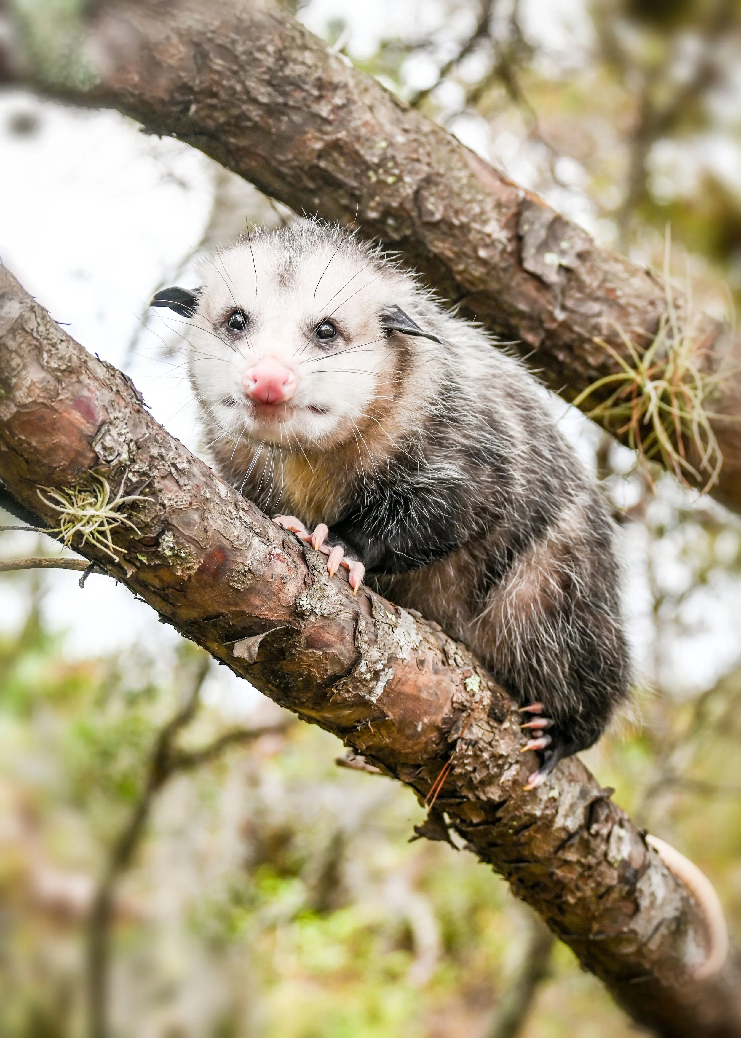Winter Nature Camp — Hobe Sound Nature Center