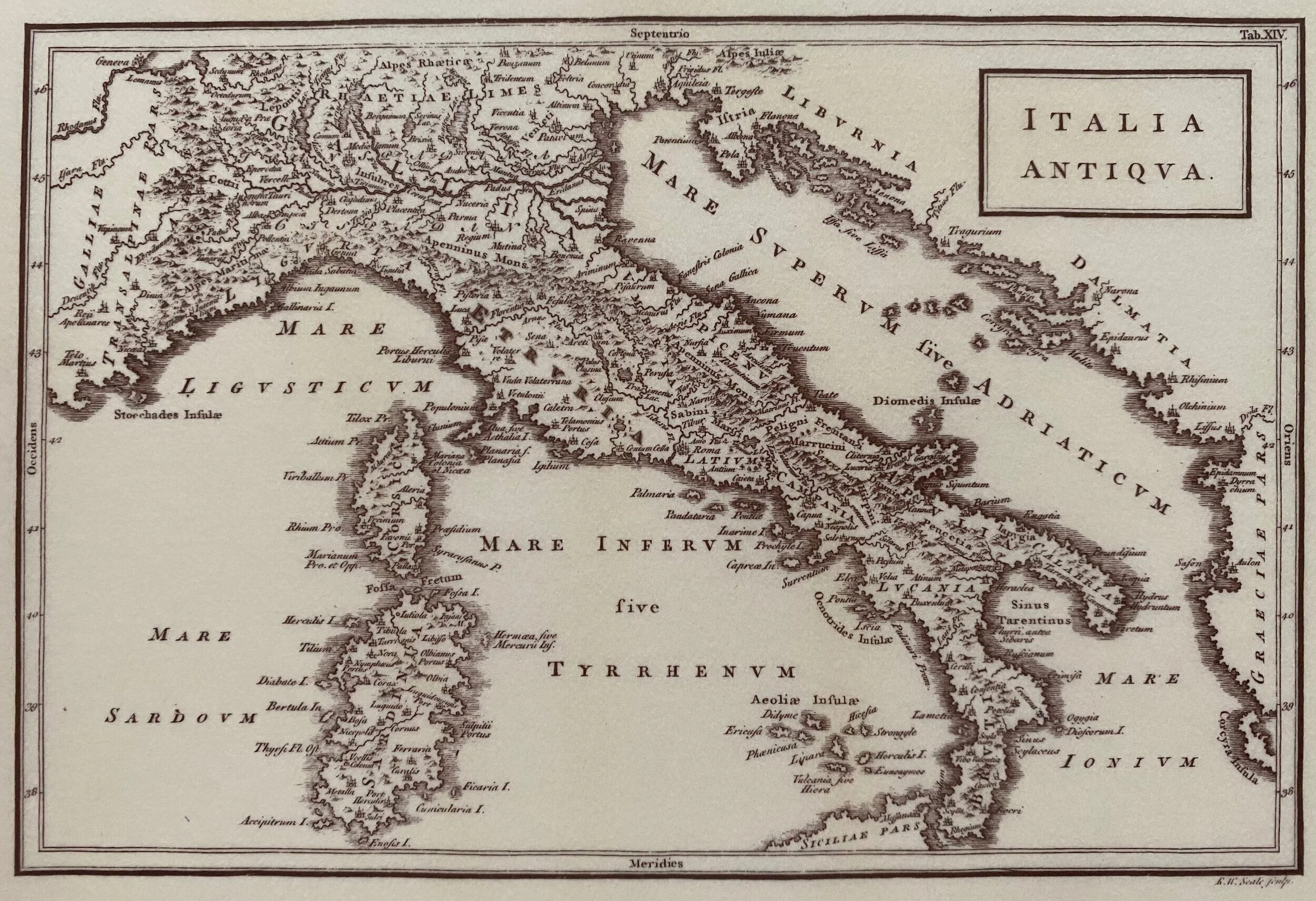 The Etruscans — ETRUSCA GALLERY USA