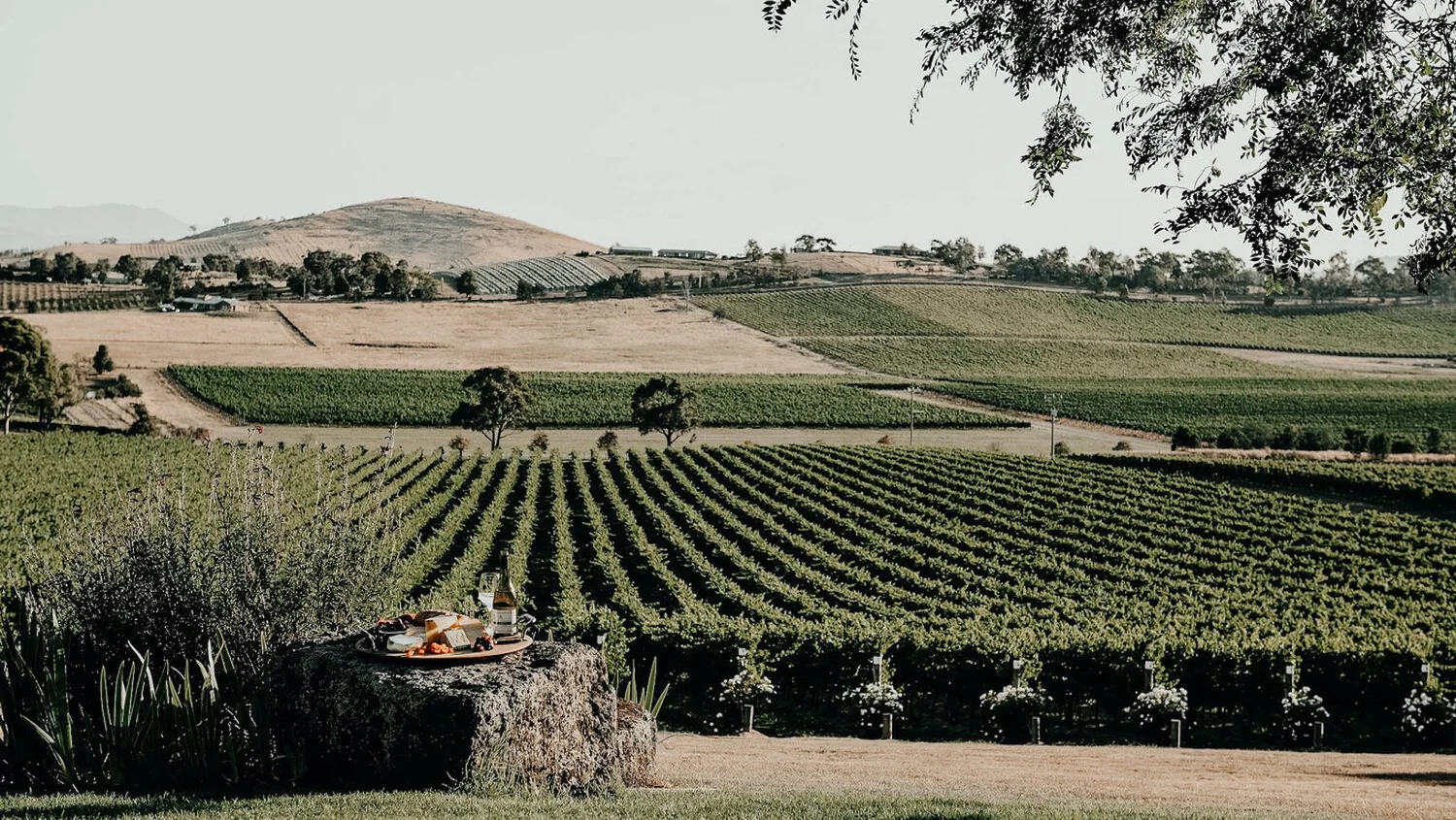 The best destinations for a winter wine weekend with your girl group ...