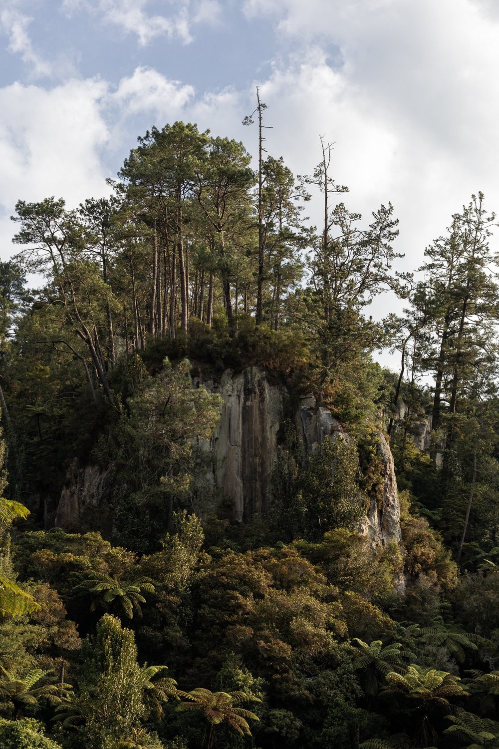 General 1 — Watercliff