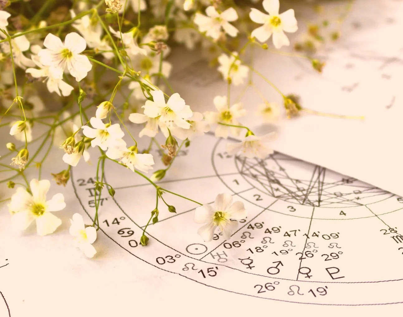 Progressed Chart Interpretation | NOONLIT SAGE ASTROLOGER | Scottsdale