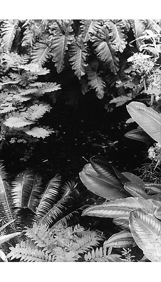 The Hermetic Alphabet — Judy Natal