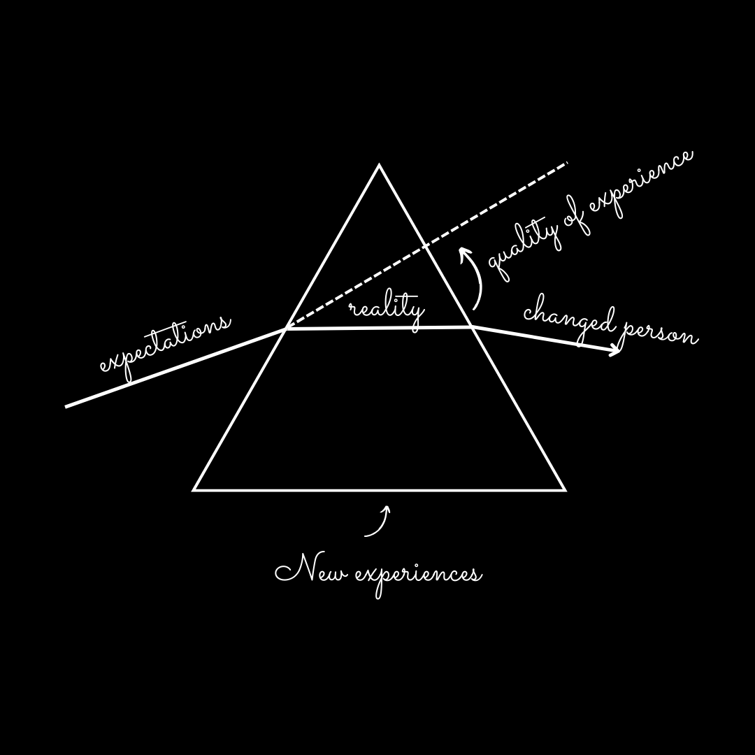 Newsletter — Wajiha Pervez