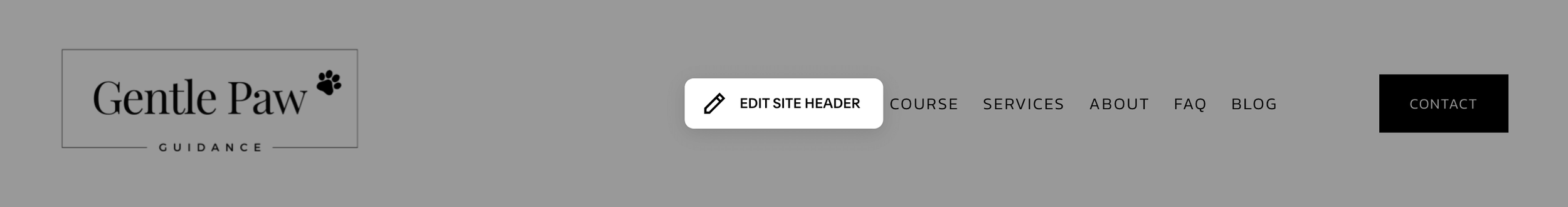 How to Add a Logo in Squarespace — Squarespace Web Design