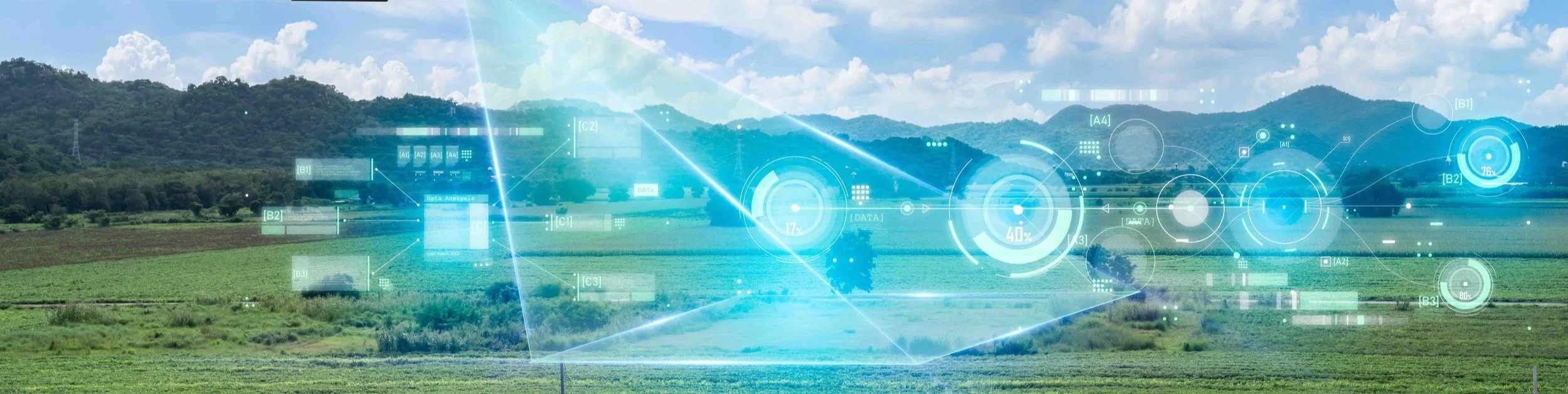 WingXpand Services — WingXpand