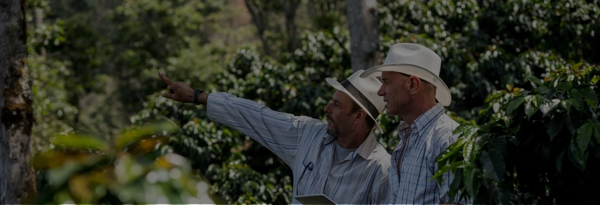 Digital Coffee Future