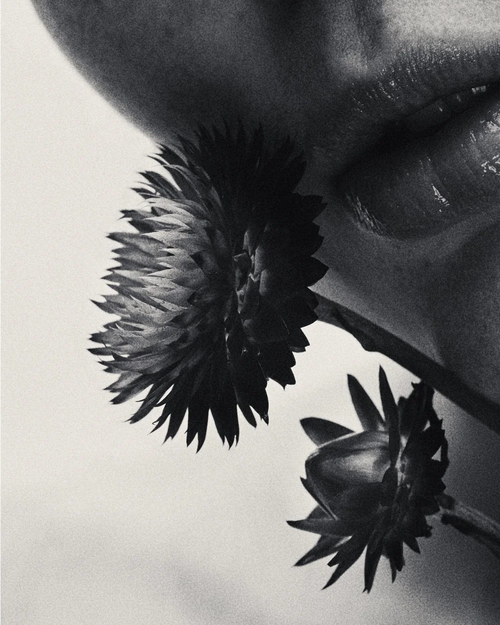 Sergio Colón Photography