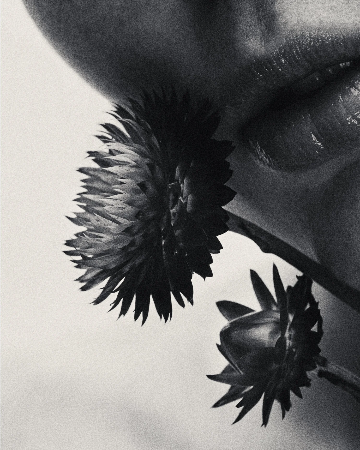 Sergio Colón Photography