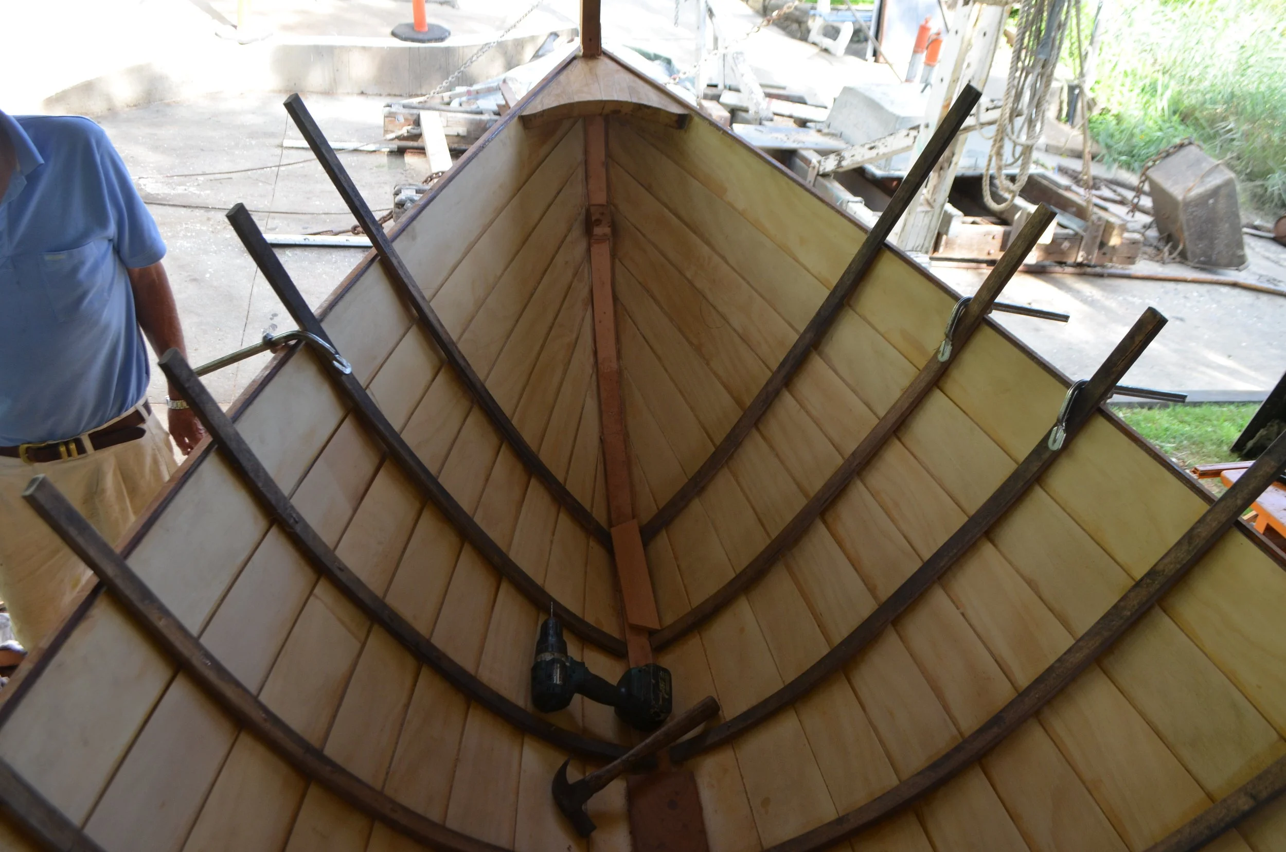 Maiwar — Tom Robinson