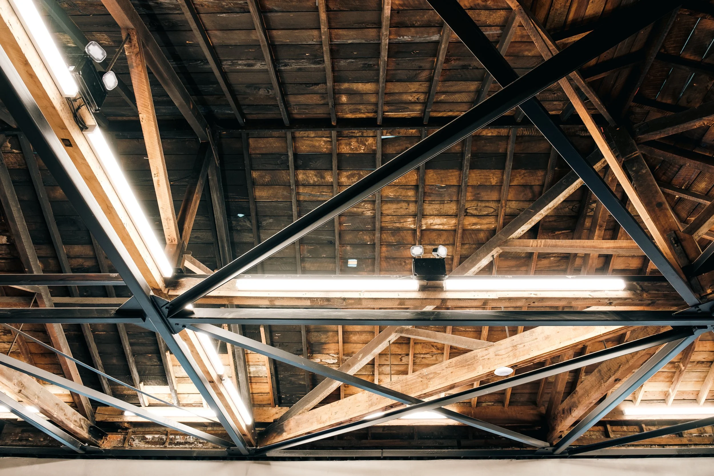 Willis St — First Light Studio