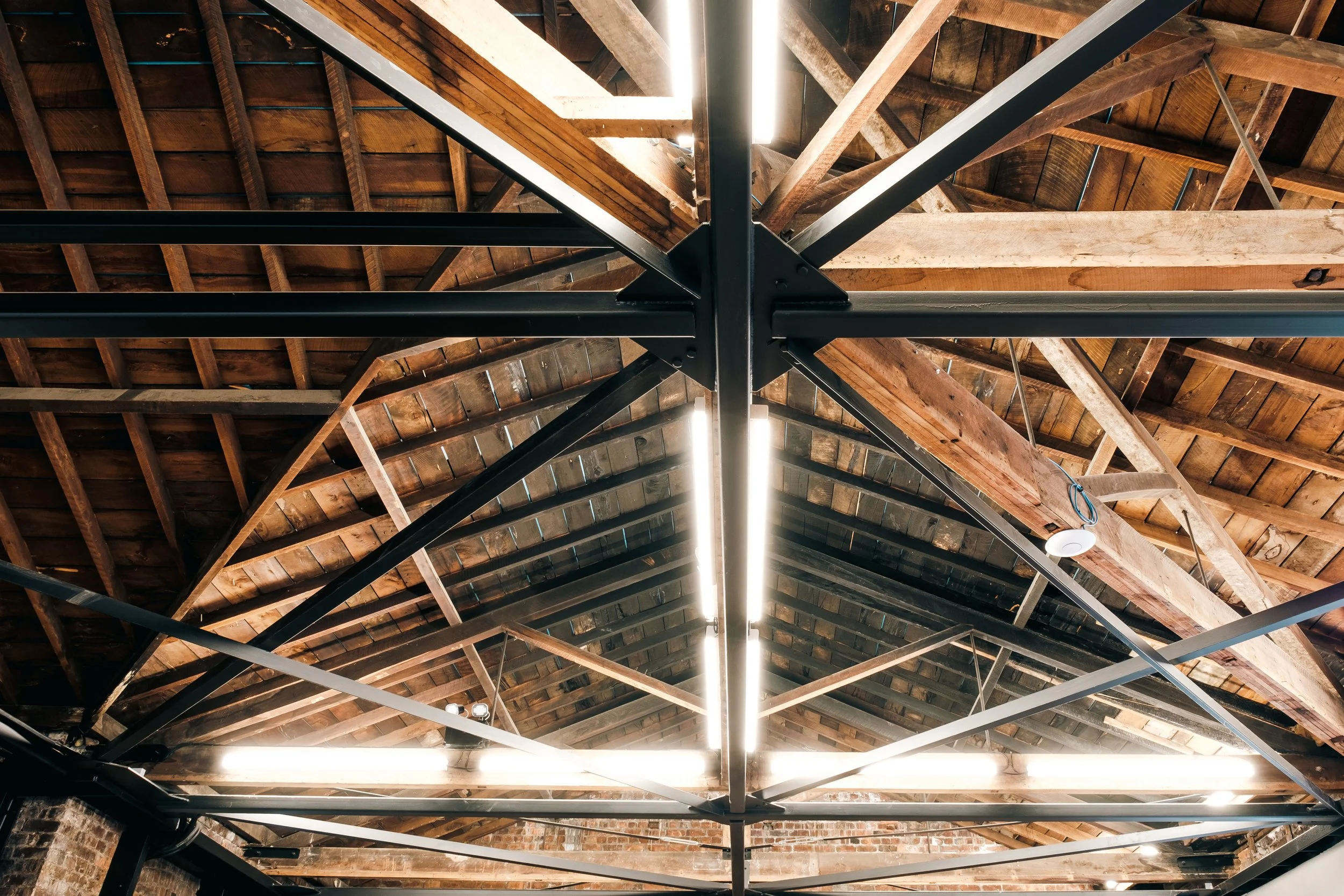 Willis St — First Light Studio