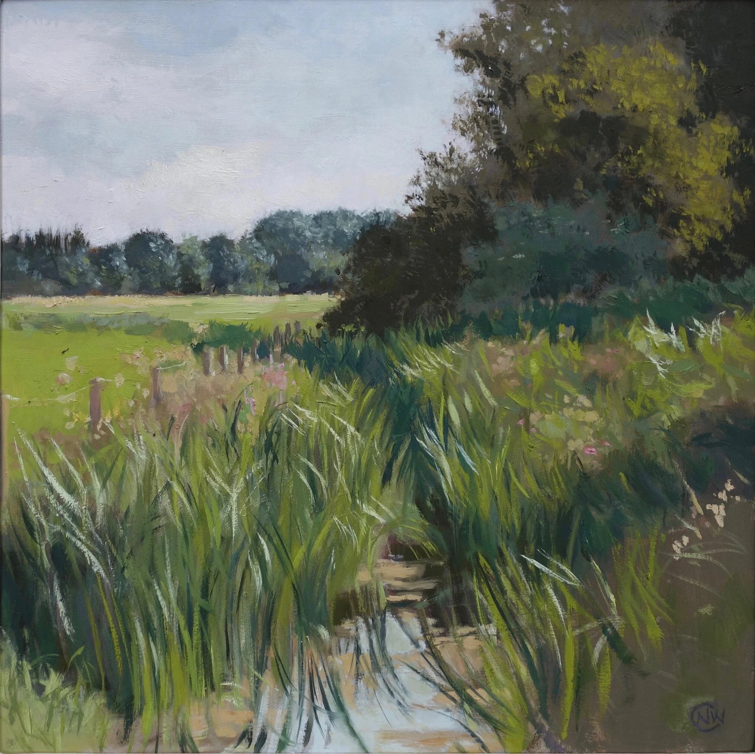 SHOP — NAOMI CLEMENTS WRIGHT