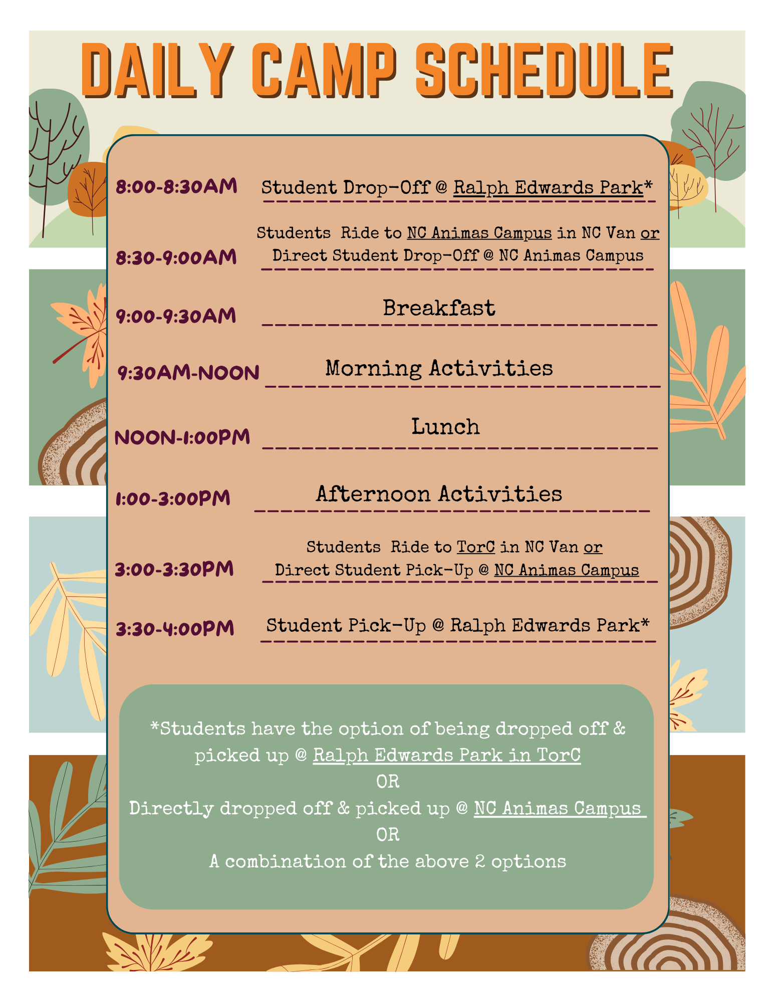 Summer Day Camp — Natural Curiosity